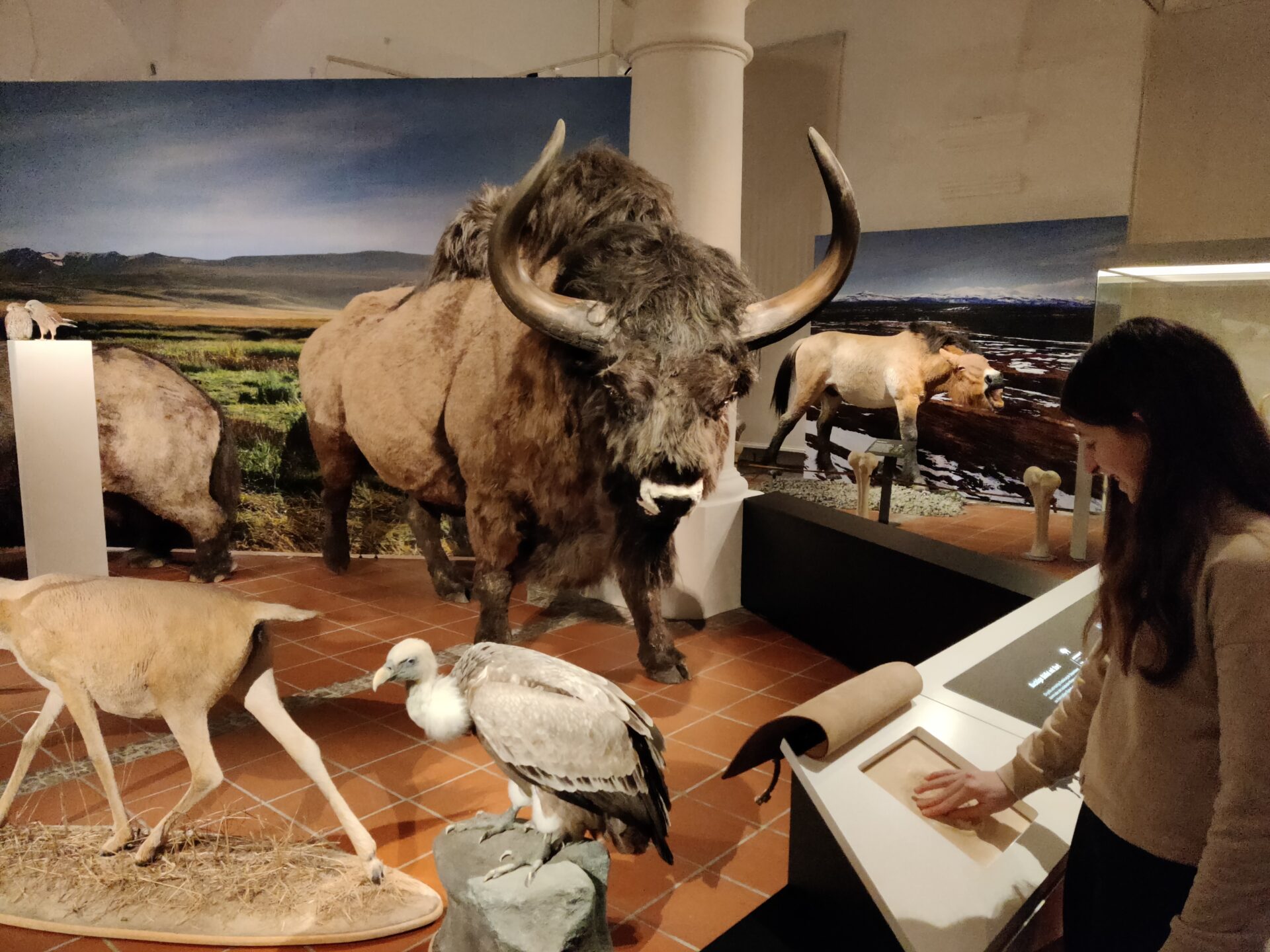 Wunderbar Museen Im Allgau Bild