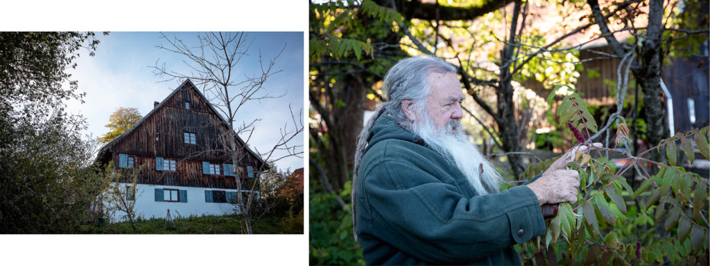 Wunder. Wald. Allgäu. „Das Wesen der Bäume ist mehr als nur Botanik ...