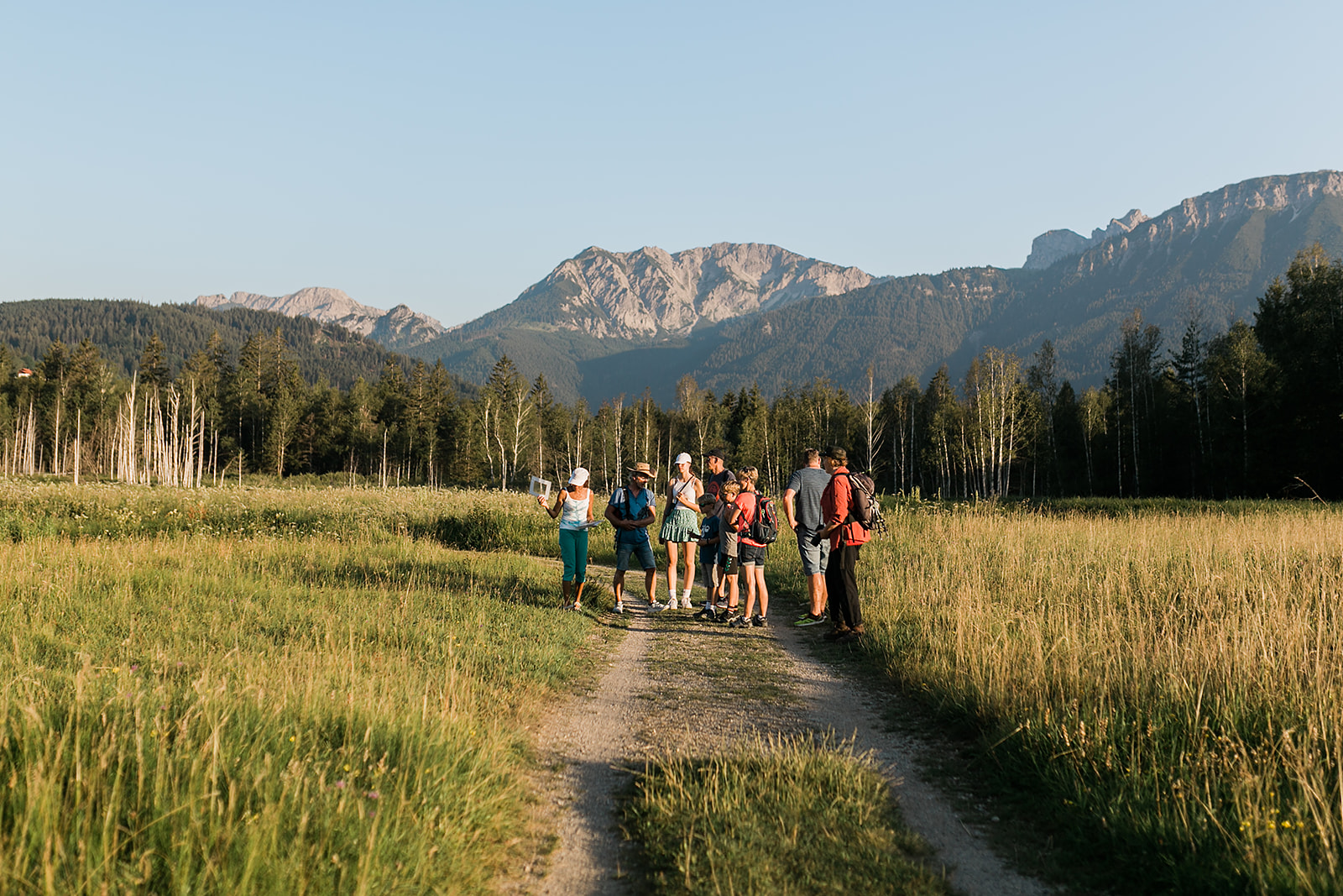 Mystische Moorwanderung: Zur blauen Stunde unterwegs im Pfrontener Moos ...