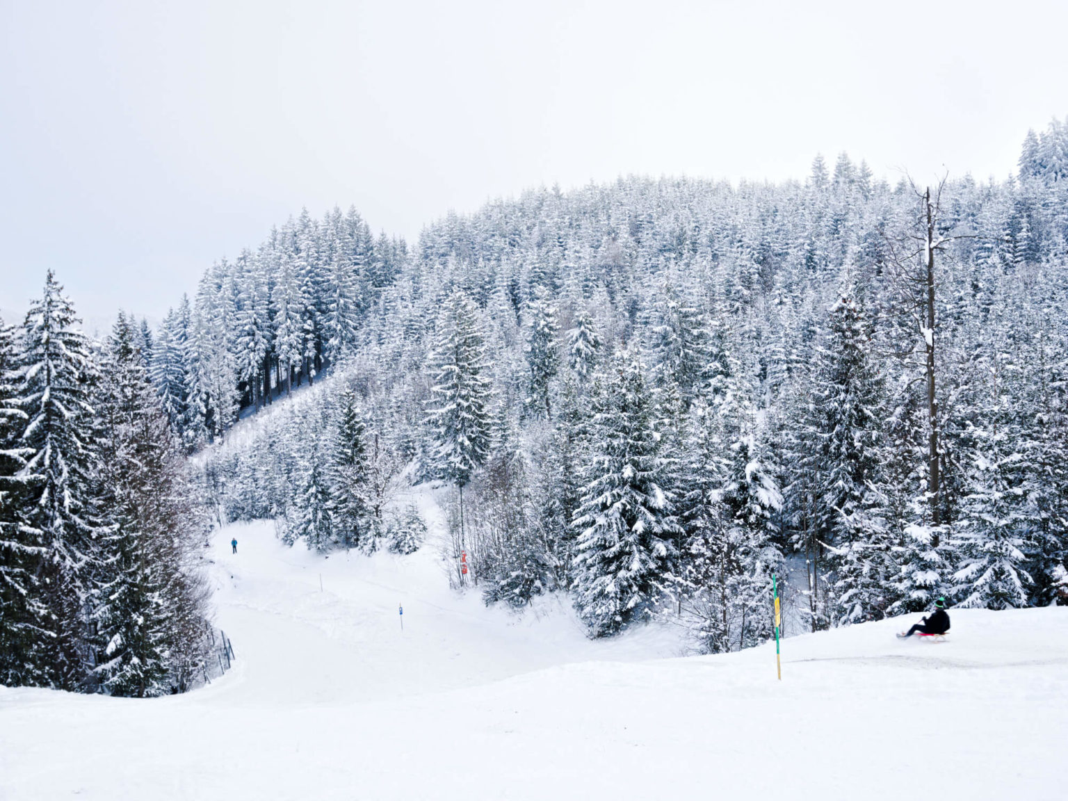 Schneeschuhwandern zur Buchenbergalm im Allgäu